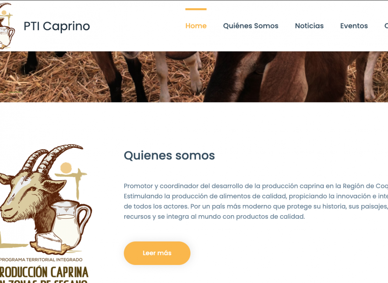 Oxido Creative Studio SpA.